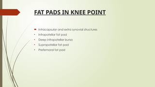Anatomy of knee: presented by DR SHLIPI JHA MD RADIODIAGNOSIS | PPT