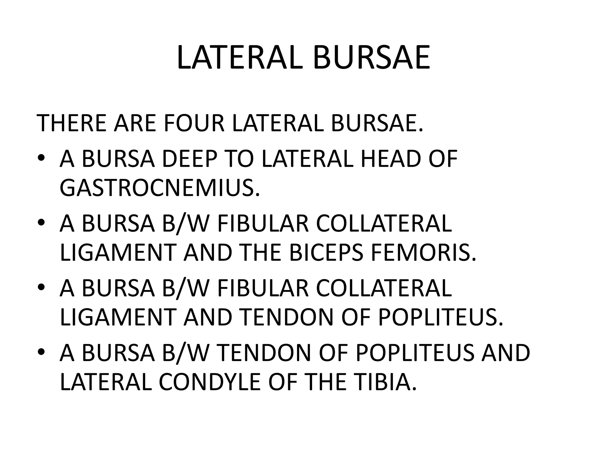kneeanatomy-140617091721-phpapp01.pdf