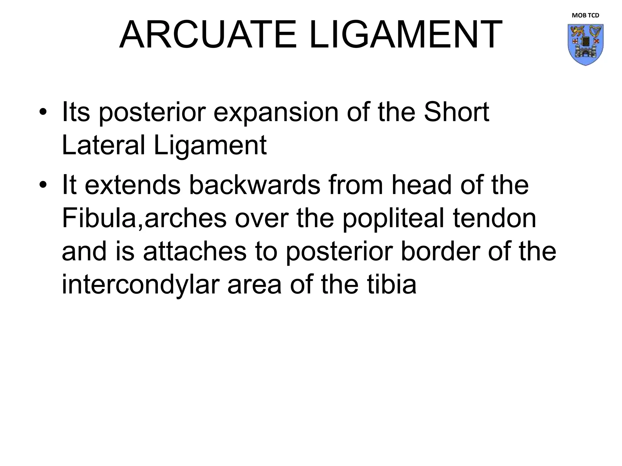 kneeanatomy-140617091721-phpapp01.pdf