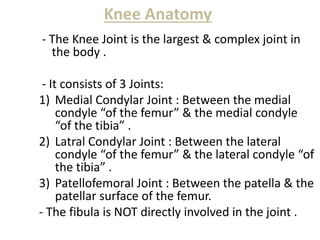 kneeanatomy-140617091721-phpapp01.pdf