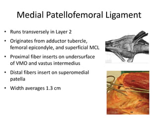 kneeanatomy-140617091721-phpapp01.pdf