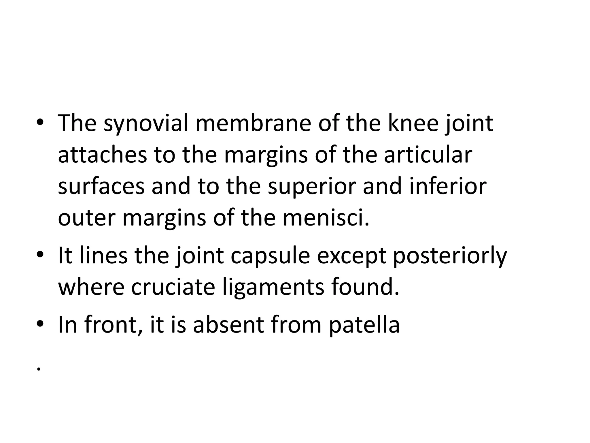 Knee Joint Anatomy | PPTX