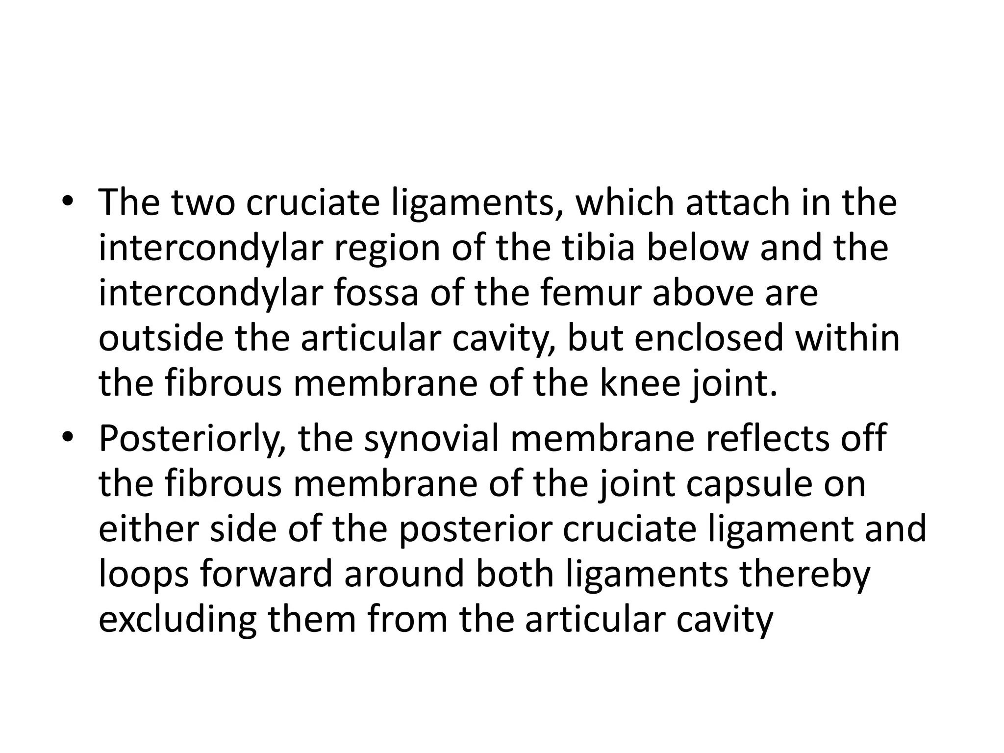 Knee Joint Anatomy | PPTX