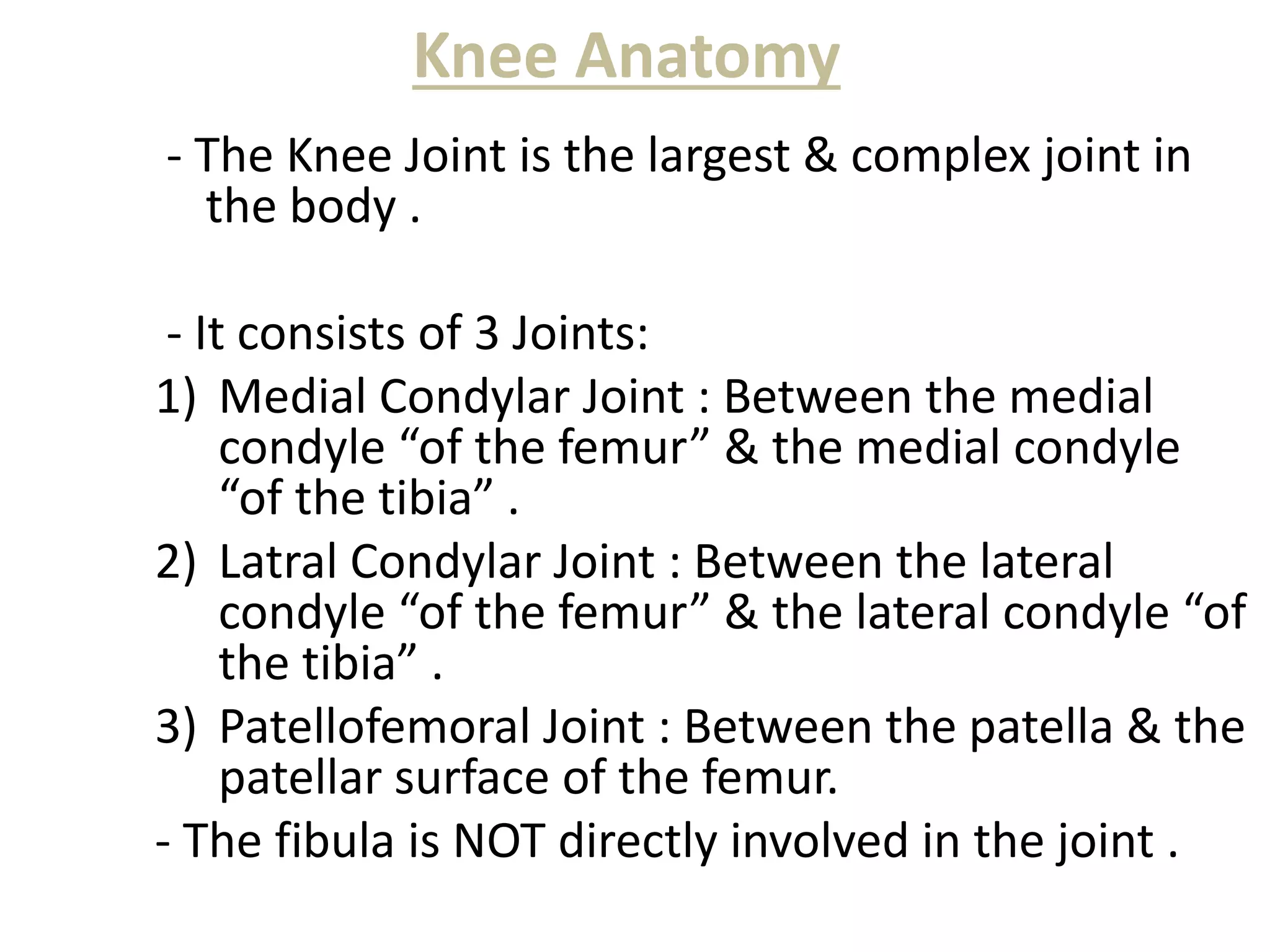 Knee Joint Anatomy | PPTX
