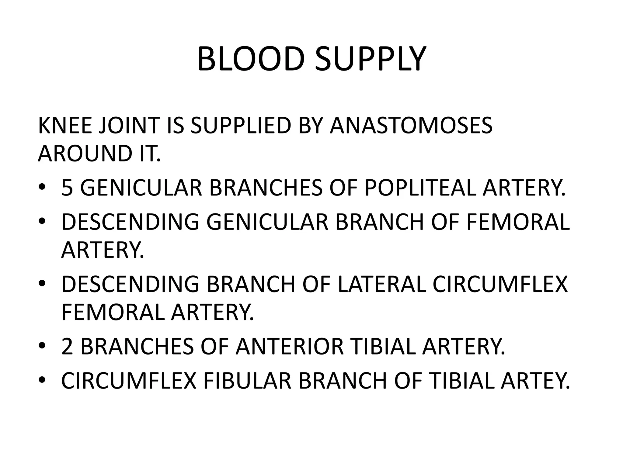Knee Joint Anatomy | PPTX