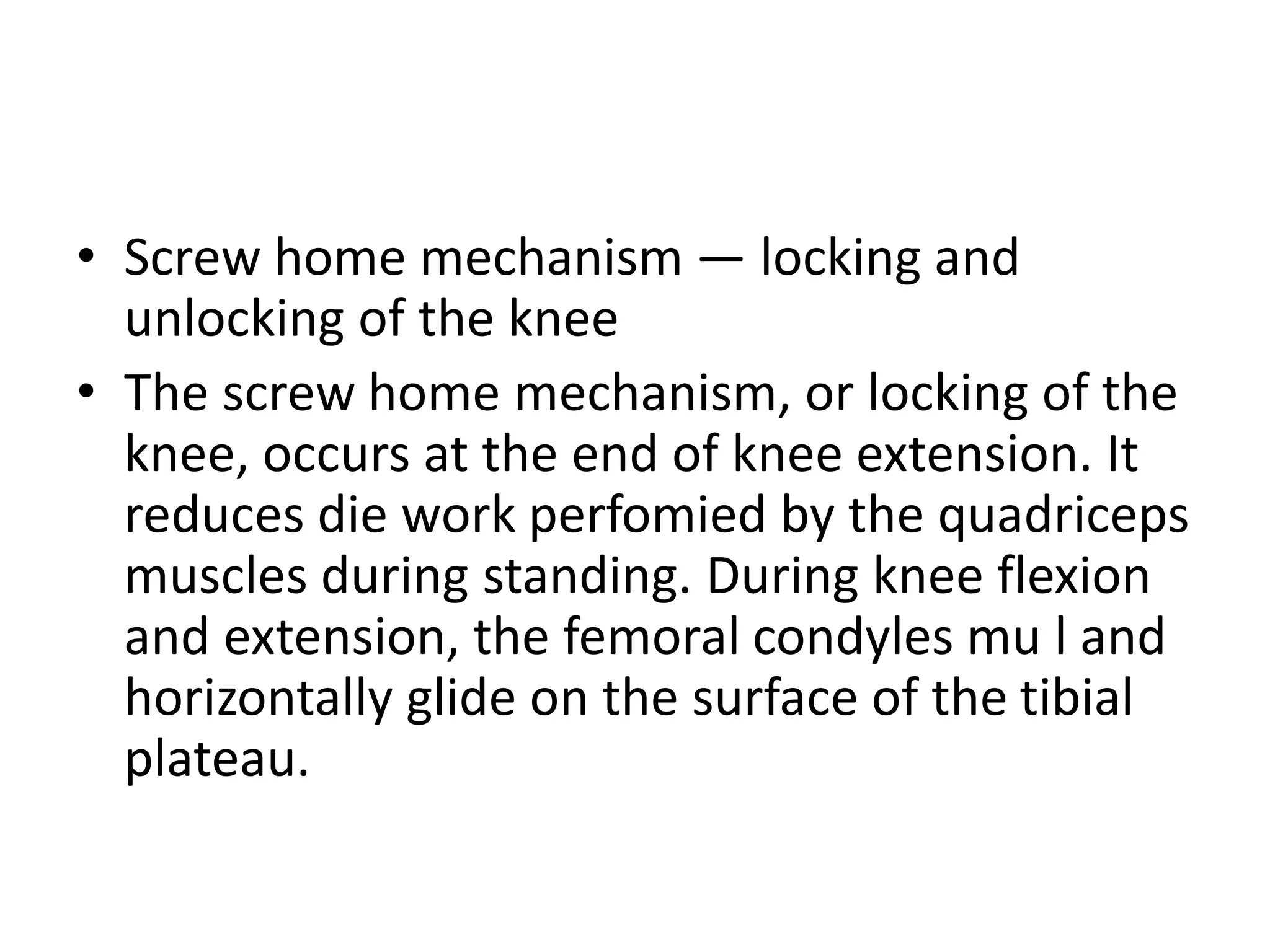 Knee Joint Anatomy | PPTX