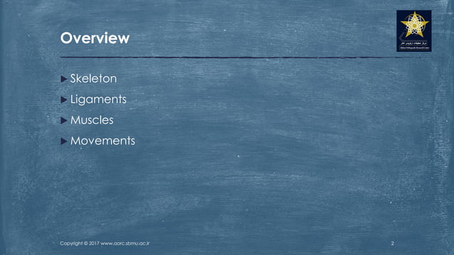 Knee anatomy | PDF