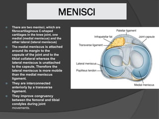 KNEE ANATOMY AND PHYSICAL EXAMINATION.pdf