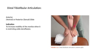 knee & Ankle Joint Mobilization techniques.pptx