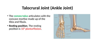 knee & Ankle Joint Mobilization techniques.pptx