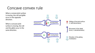 knee & Ankle Joint Mobilization techniques.pptx