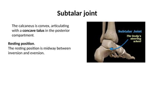 knee & Ankle Joint Mobilization techniques.pptx