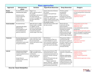 Knee approaches for fracture repairing treatment | PDF