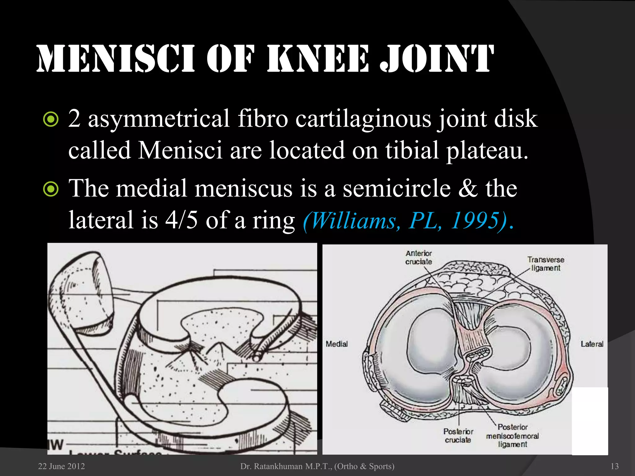 Knee biomechanic | PPTX
