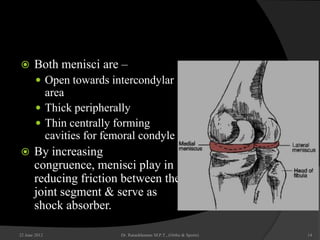 Knee biomechanic | PPTX