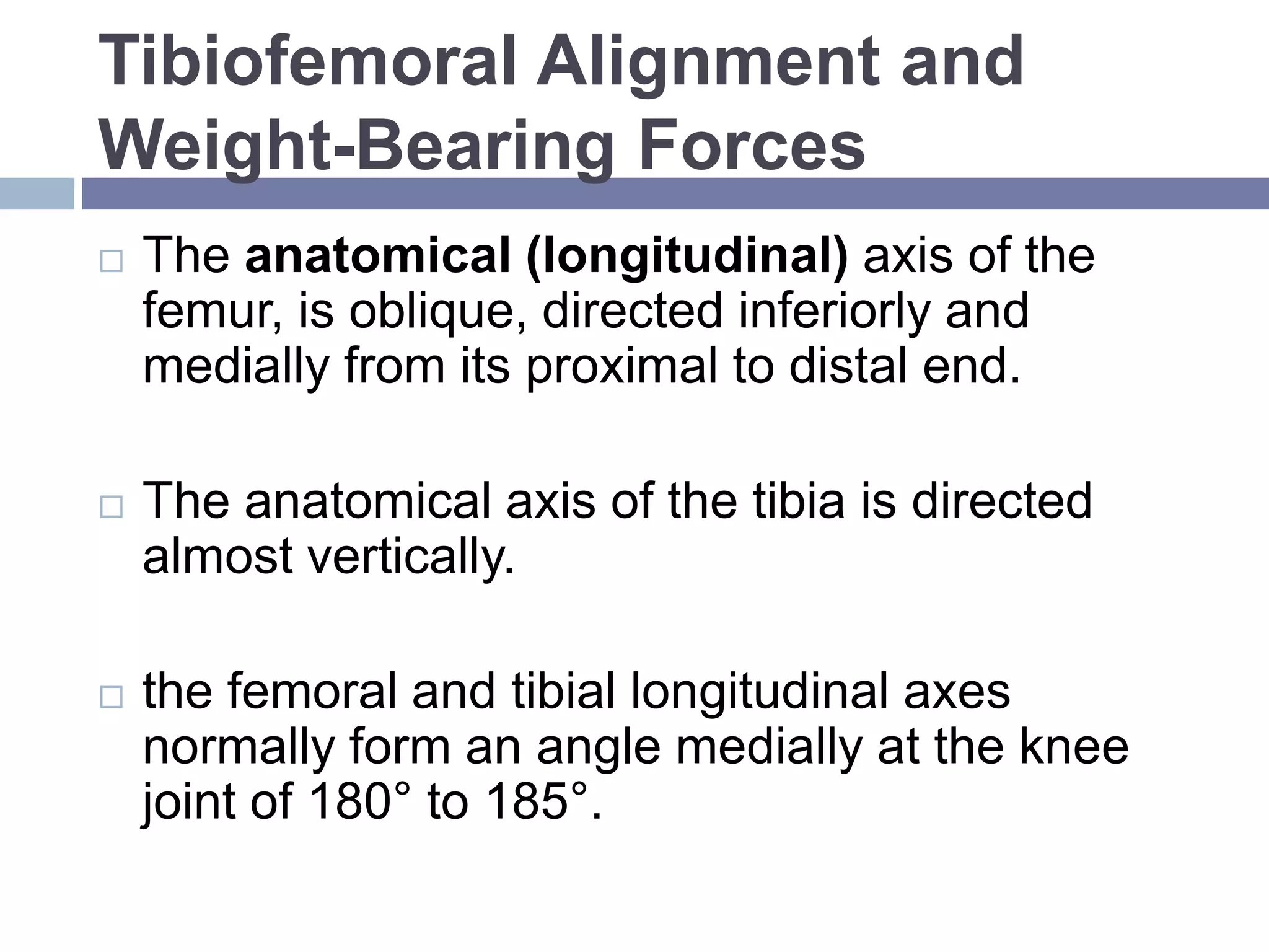 knee biomechanics.pptx