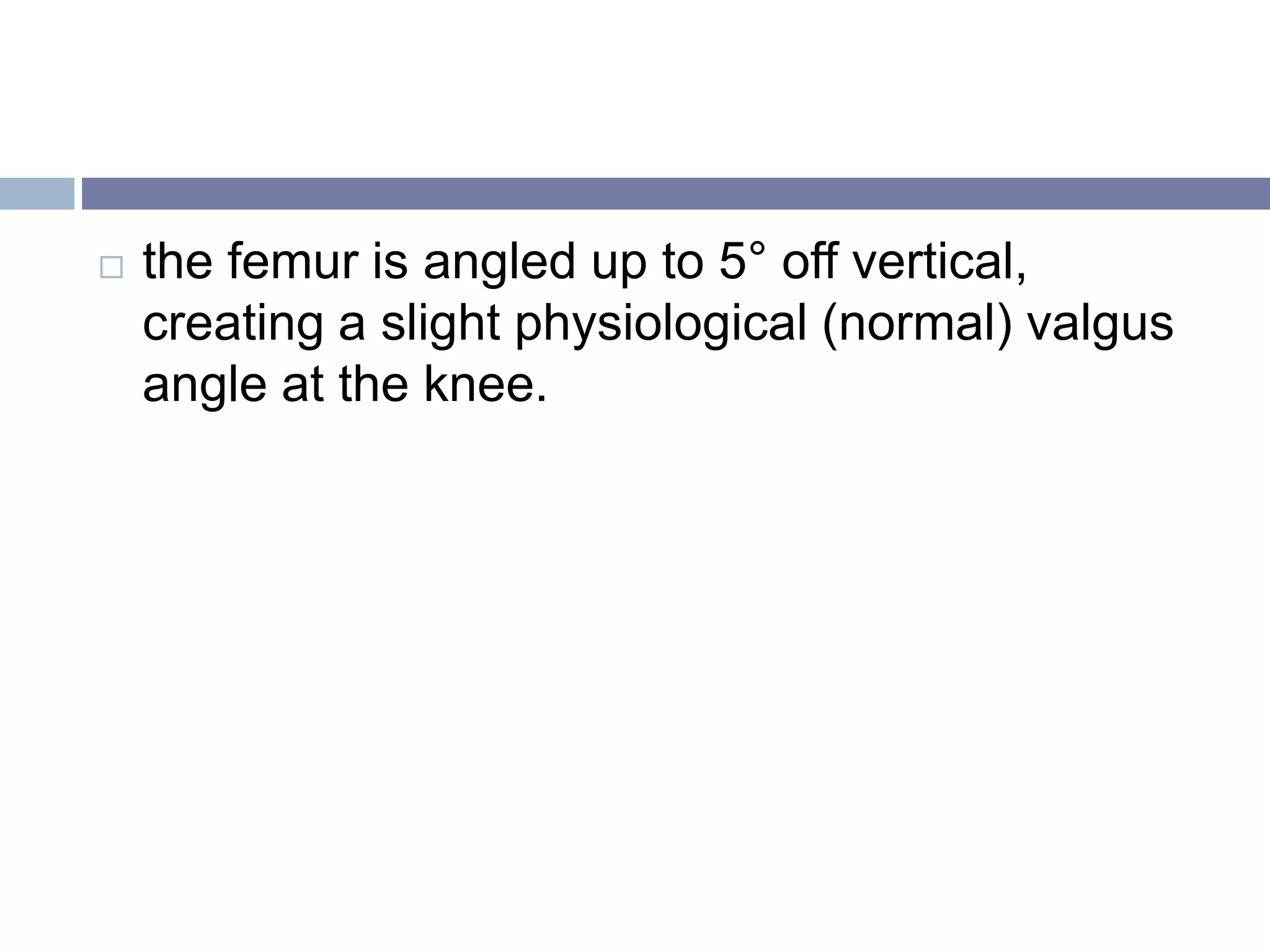 knee biomechanics.pptx