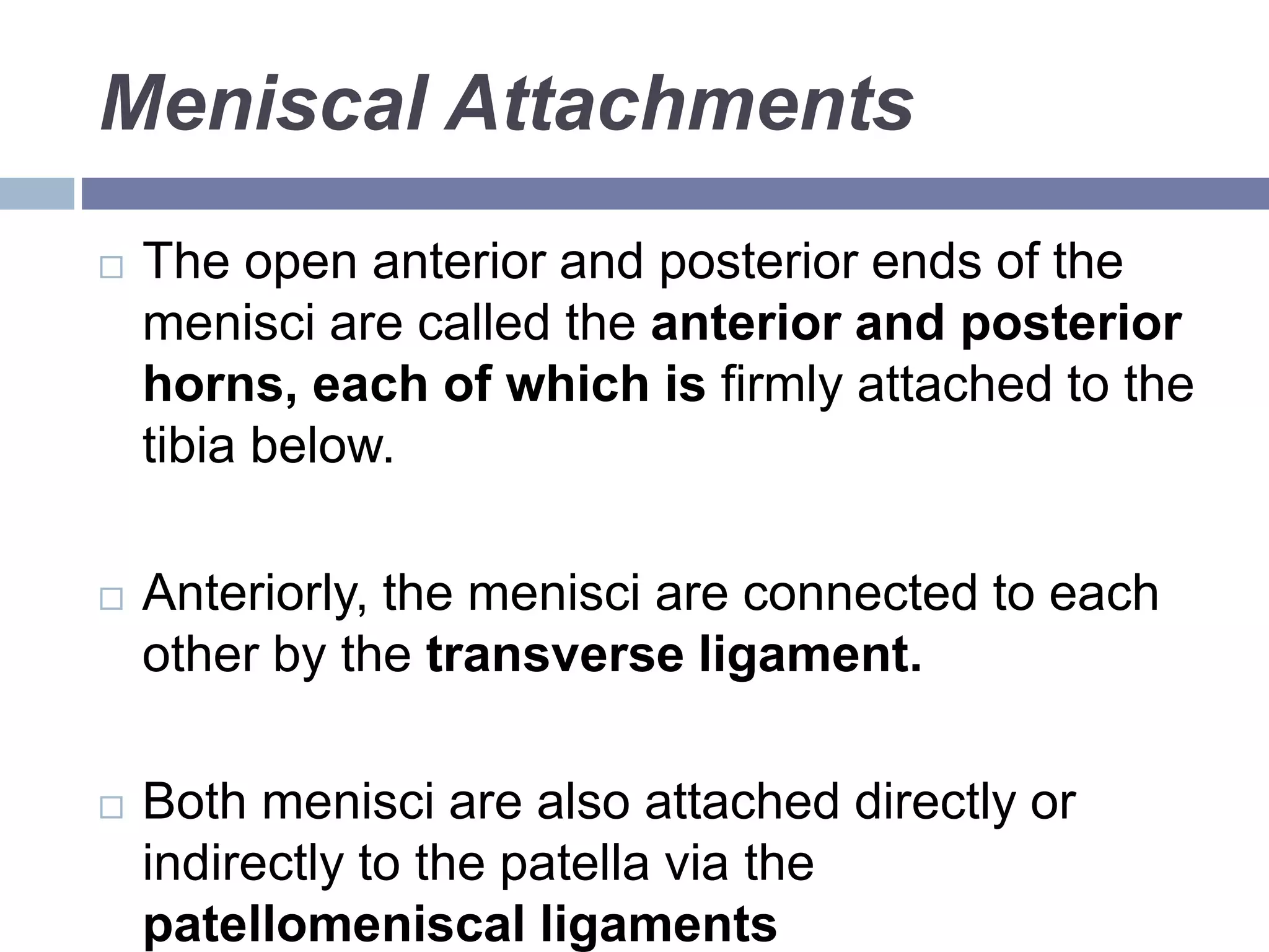 knee biomechanics.pptx