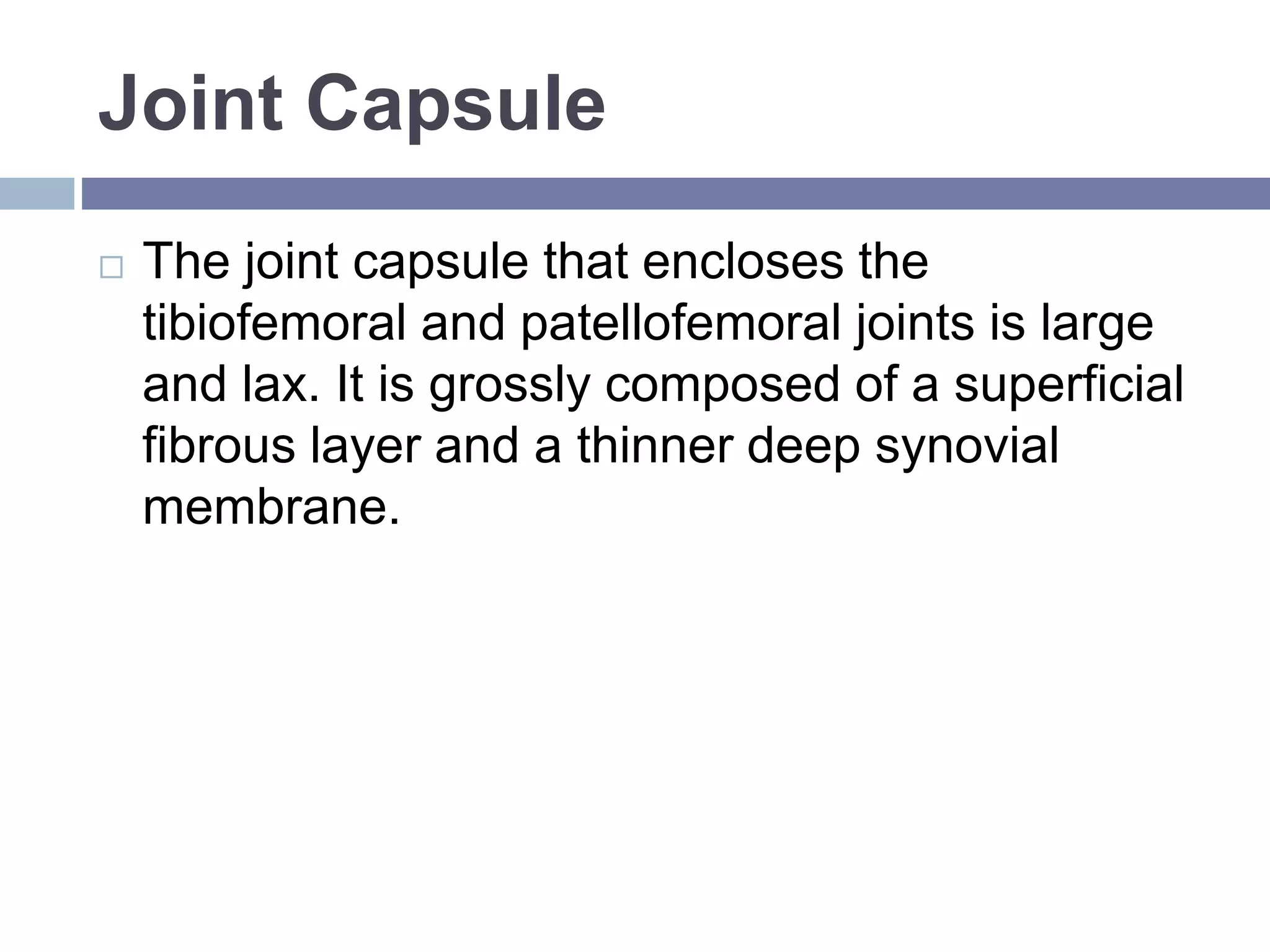 knee biomechanics.pptx