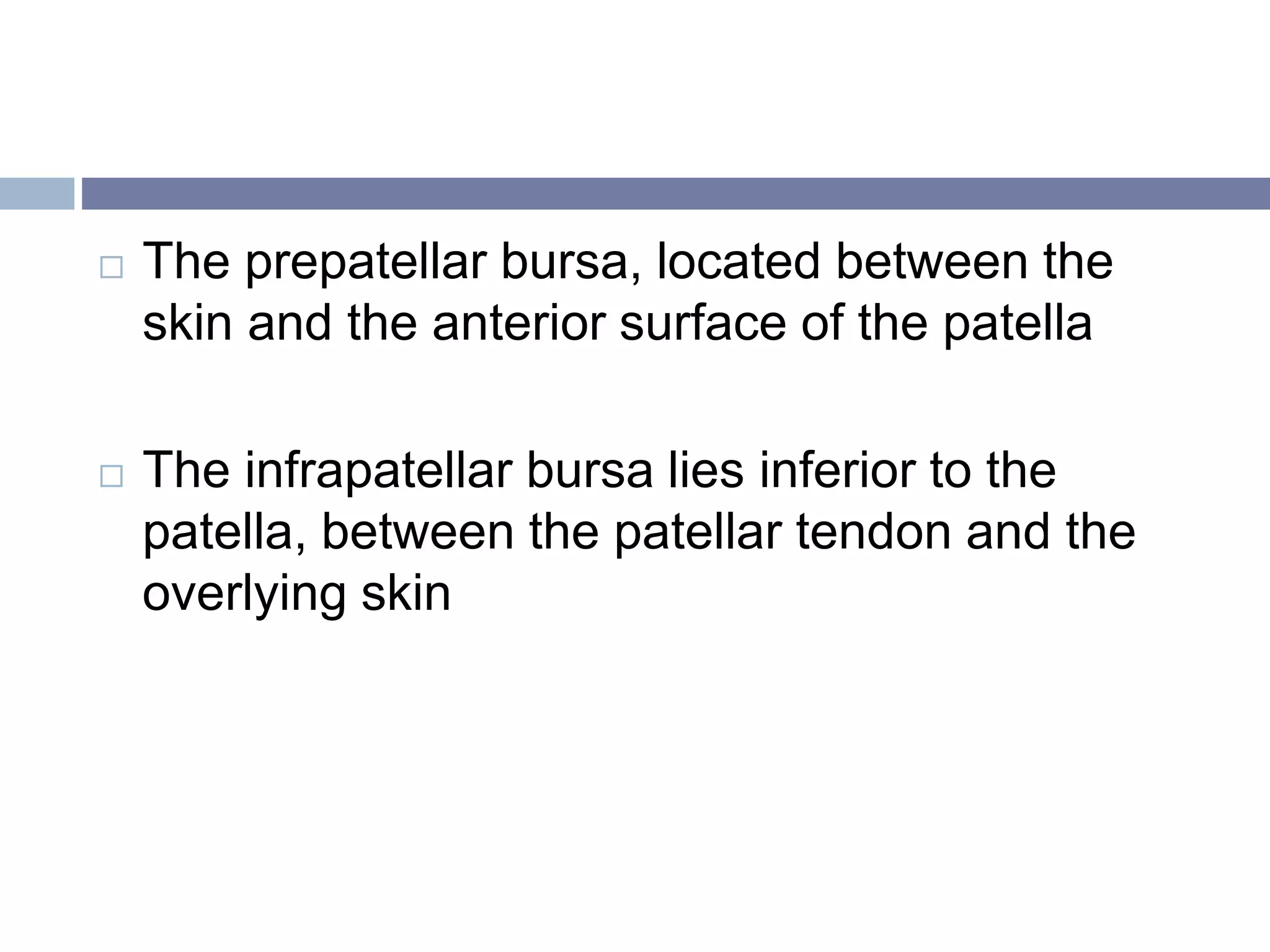knee biomechanics.pptx