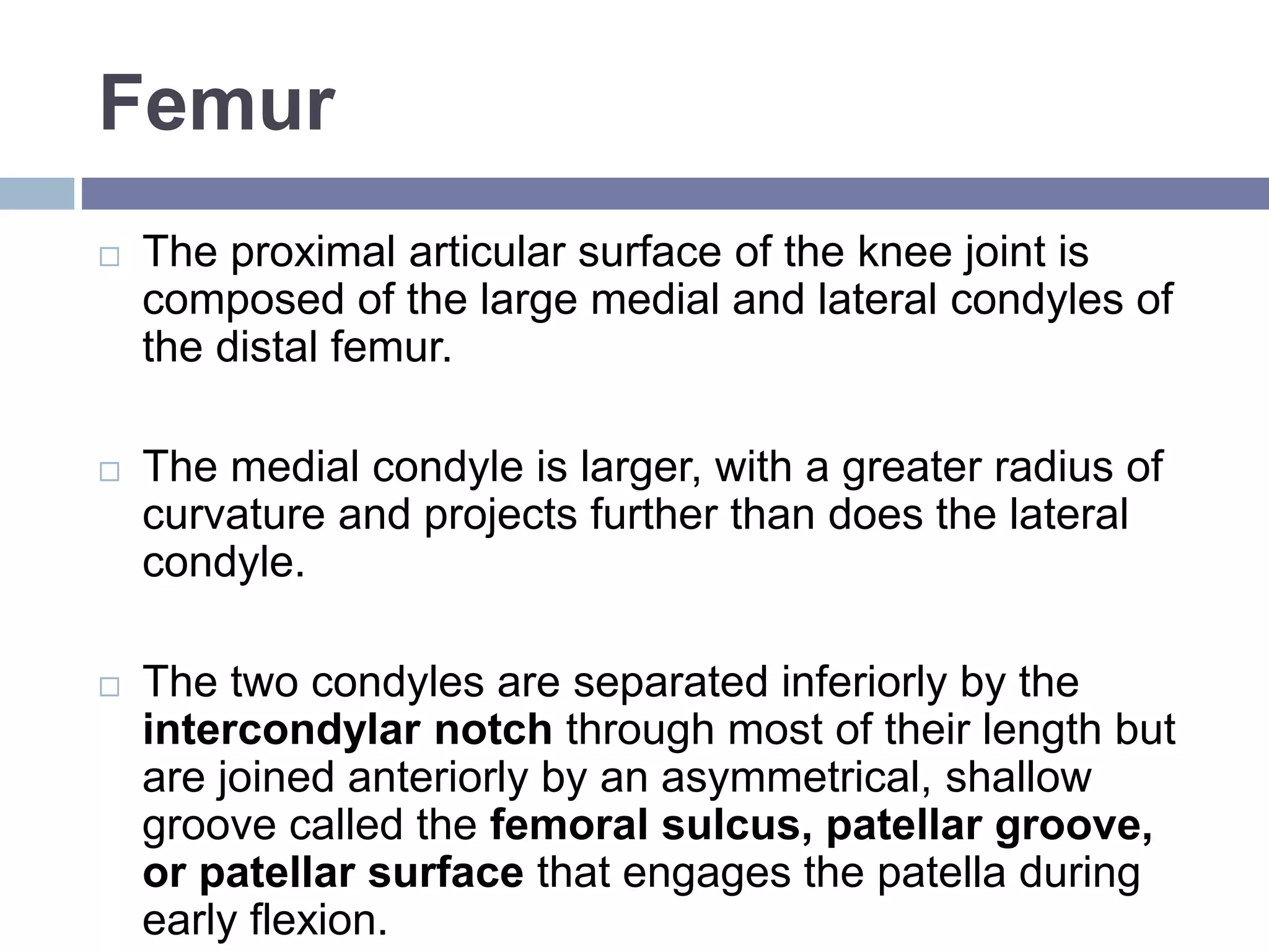 knee biomechanics.pptx