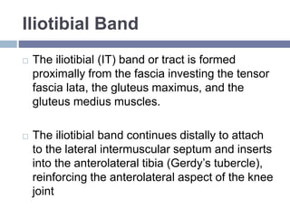 knee biomechanics.pptx