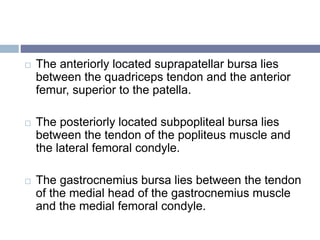knee biomechanics.pptx