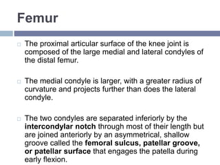 knee biomechanics.pptx