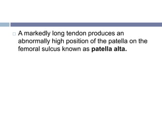 knee biomechanics.pptx
