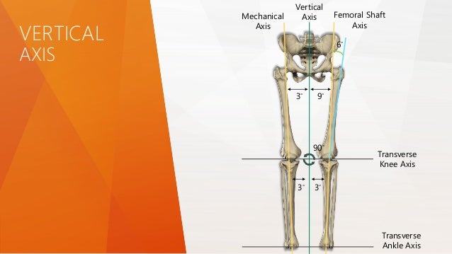 Knee biomechanics dr.bhuvanesh