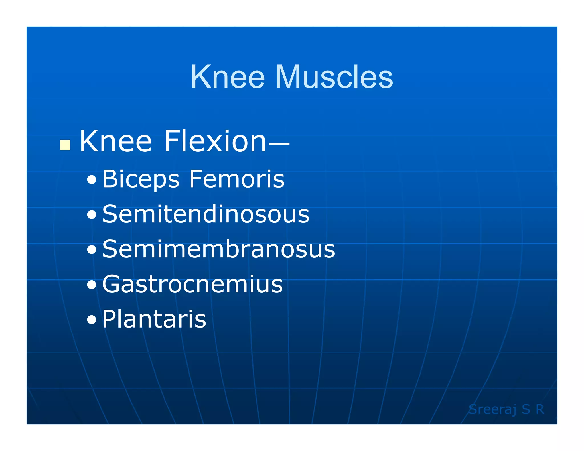 Knee biomechanics | PDF