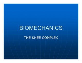 Knee biomechanics | PDF