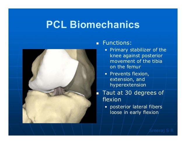 Knee biomechanics