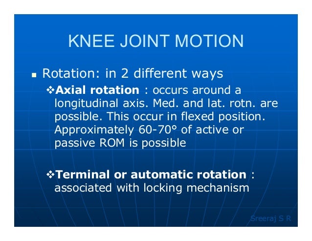 Knee biomechanics