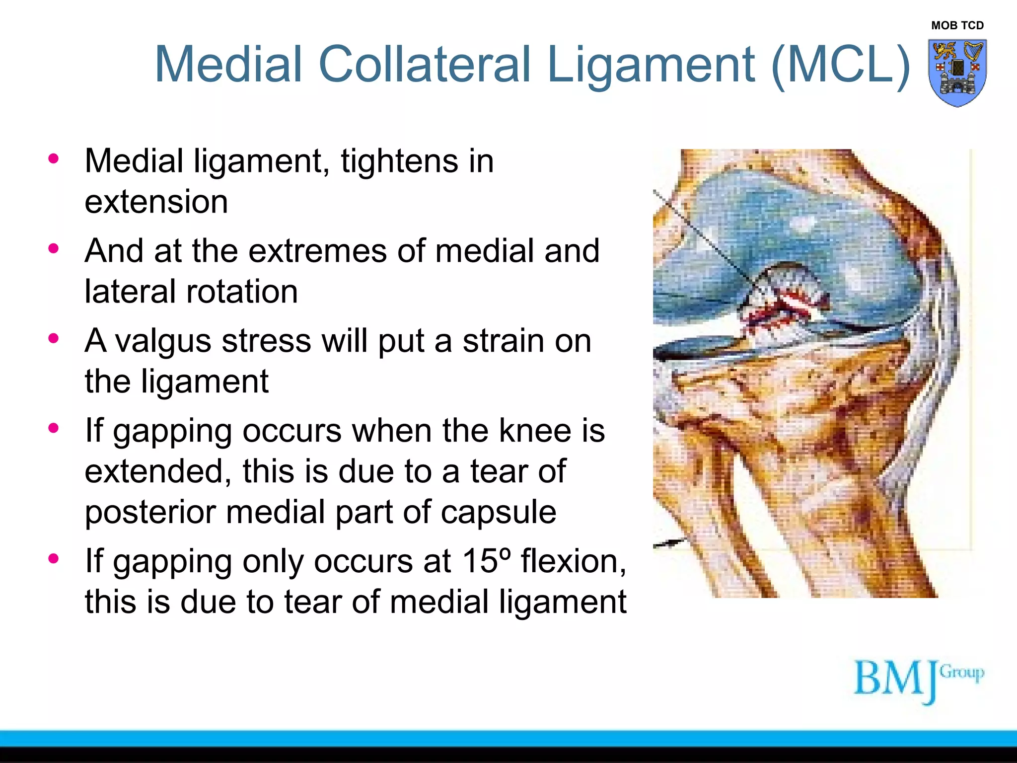 anatomy of Knee | PPT