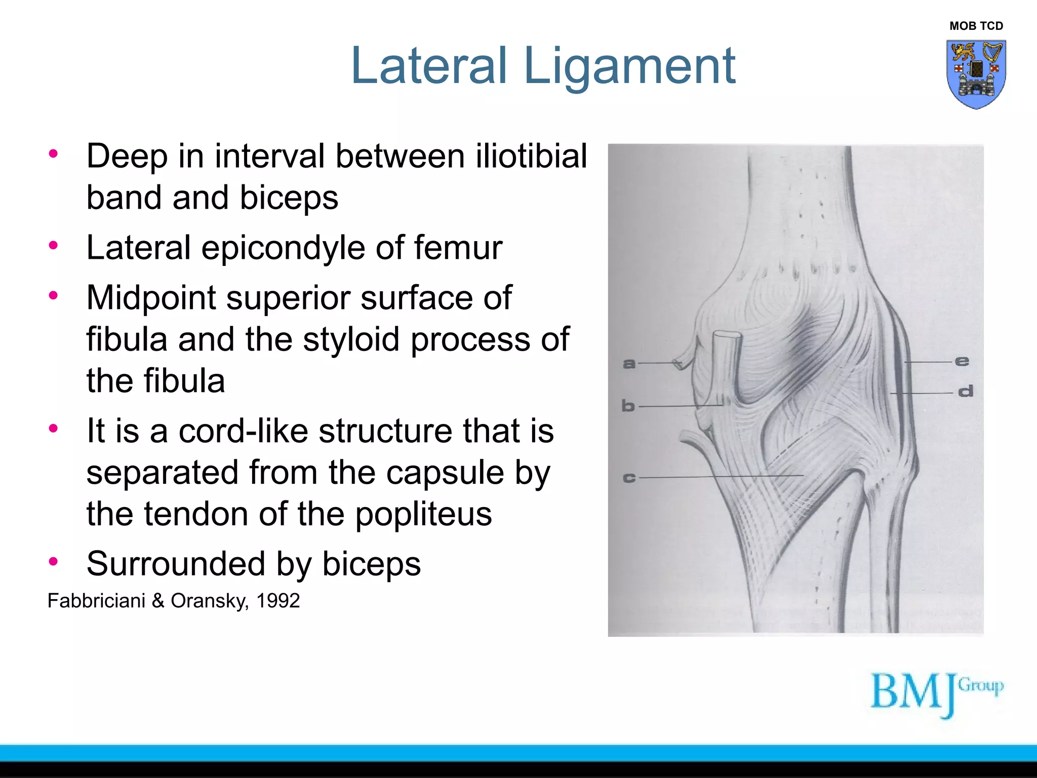 anatomy of Knee | PPT