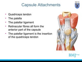 anatomy of Knee | PPT