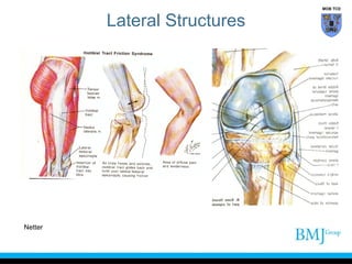 anatomy of Knee | PPT