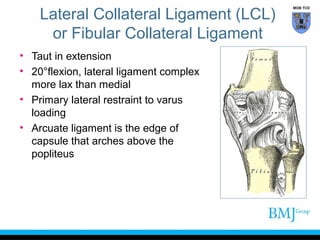 anatomy of Knee | PPT