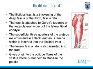 anatomy of Knee | PPT