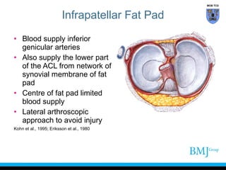 anatomy of Knee | PPT