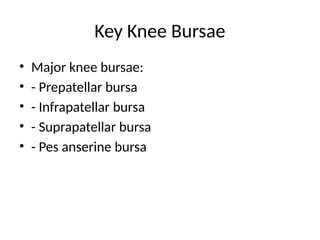 Knee_Bursa_Inflammation_Presentation.pptx