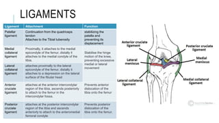 Knee CME 1.pptx