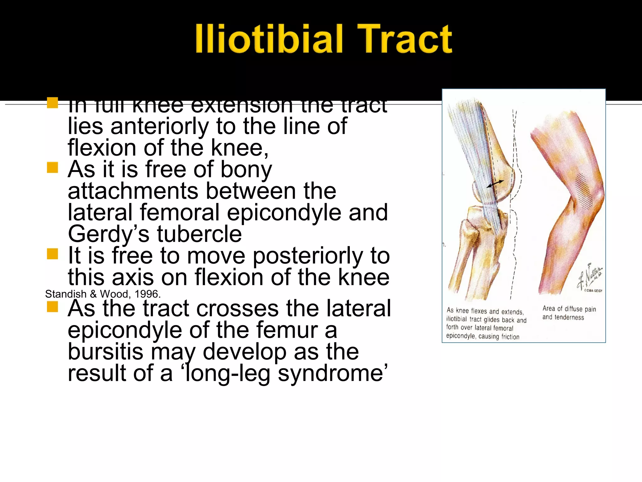 Knee complete ppt | PPT