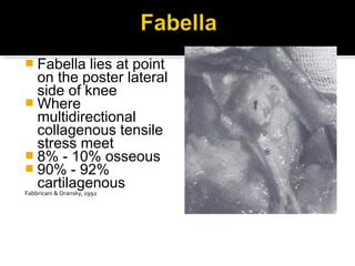 Knee complete ppt | PPT