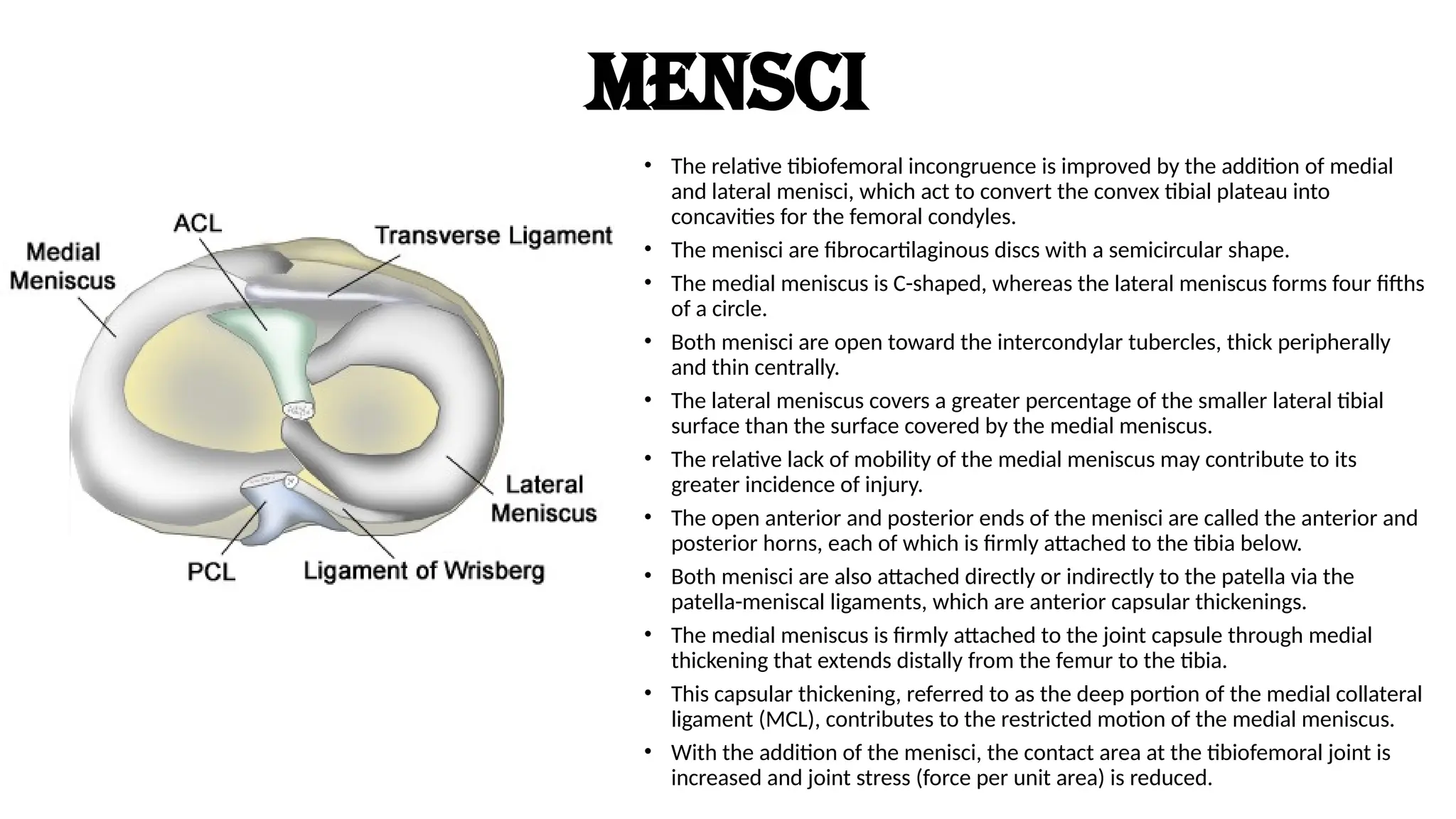 BIOMECHANICS & KINESIOLOGY OF THE KNEE COMPLEX.pptx