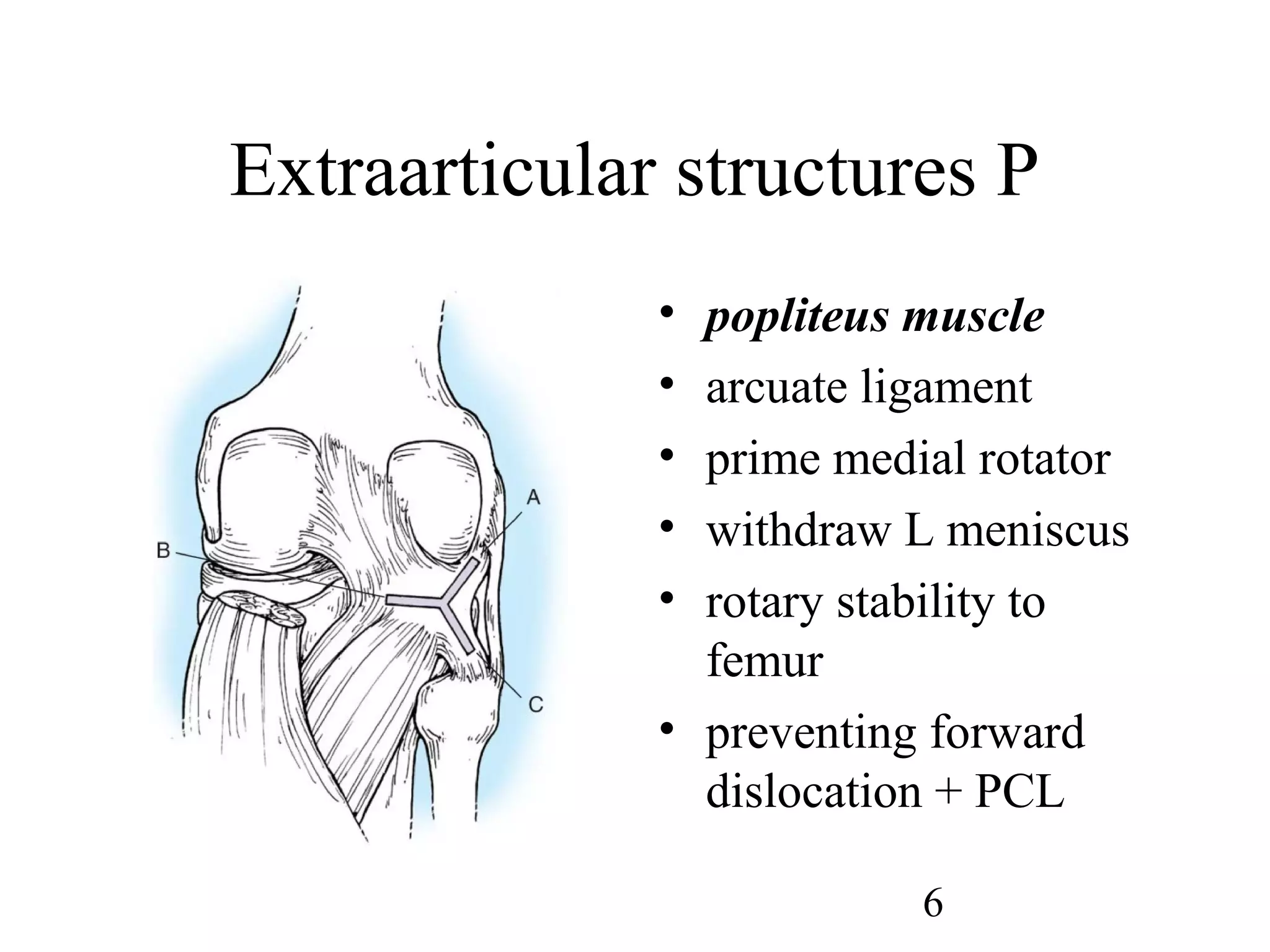 Knee dislocation | PPT