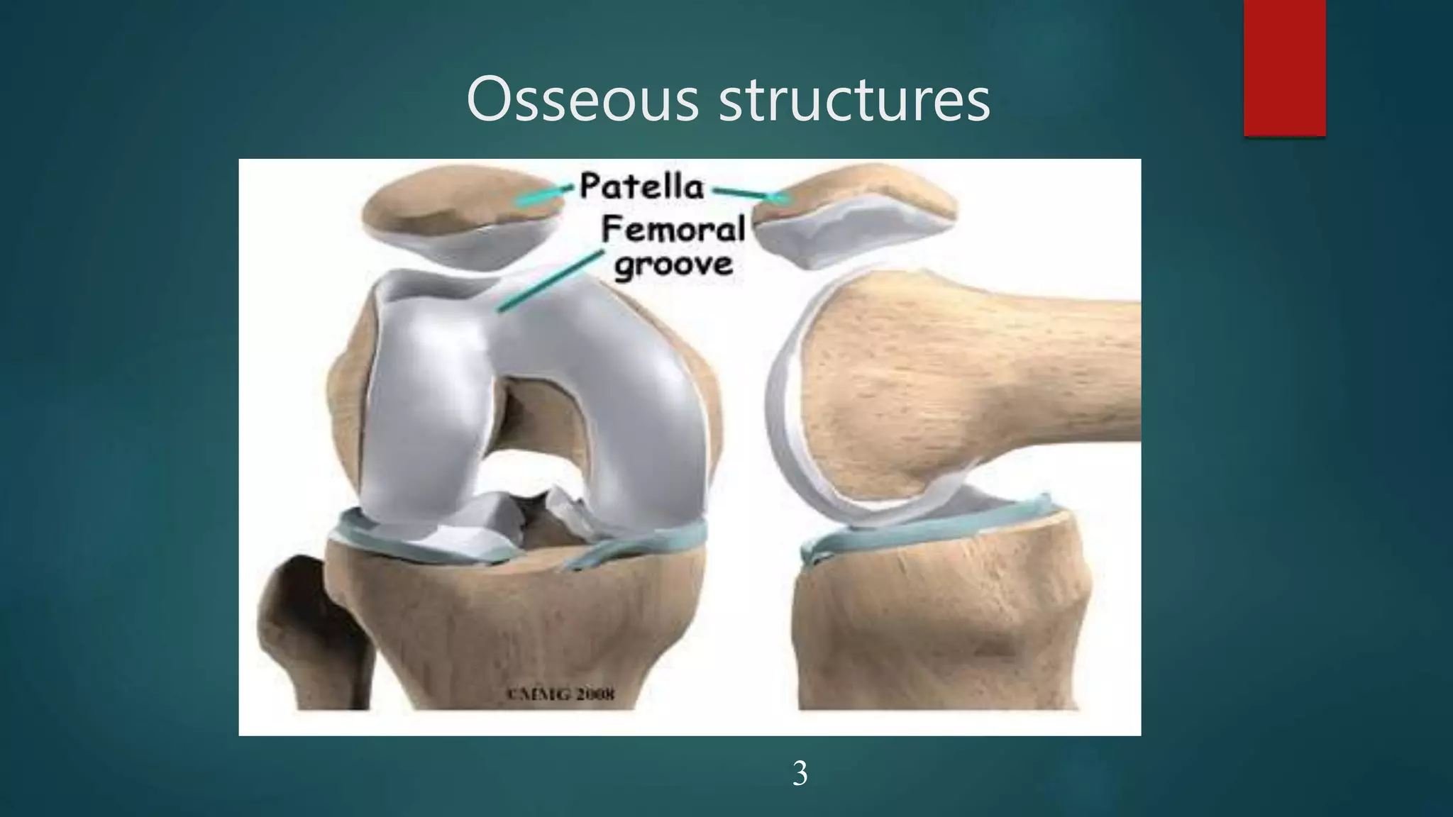 Knee dislocation.pptx