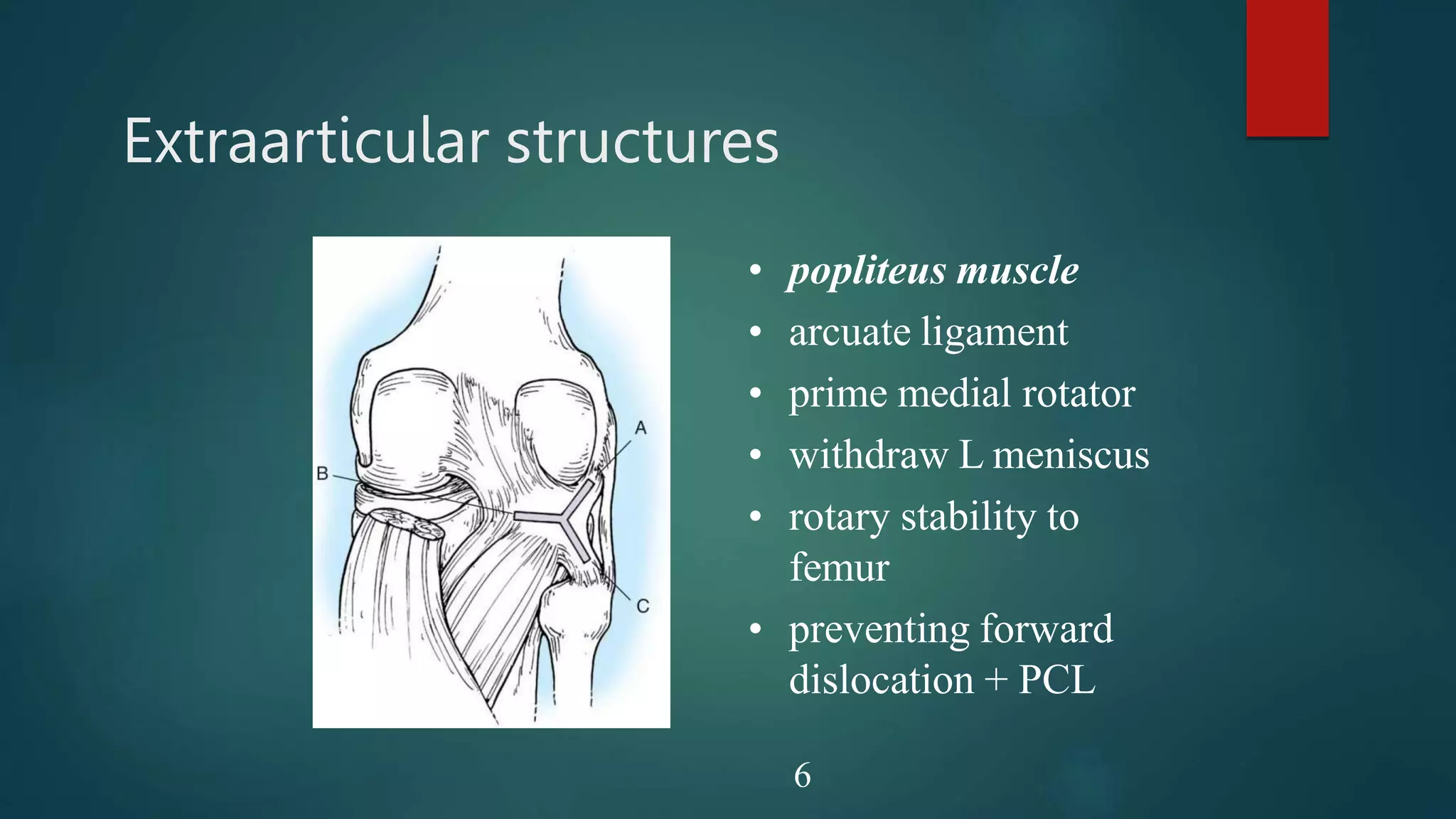 Knee dislocation.pptx