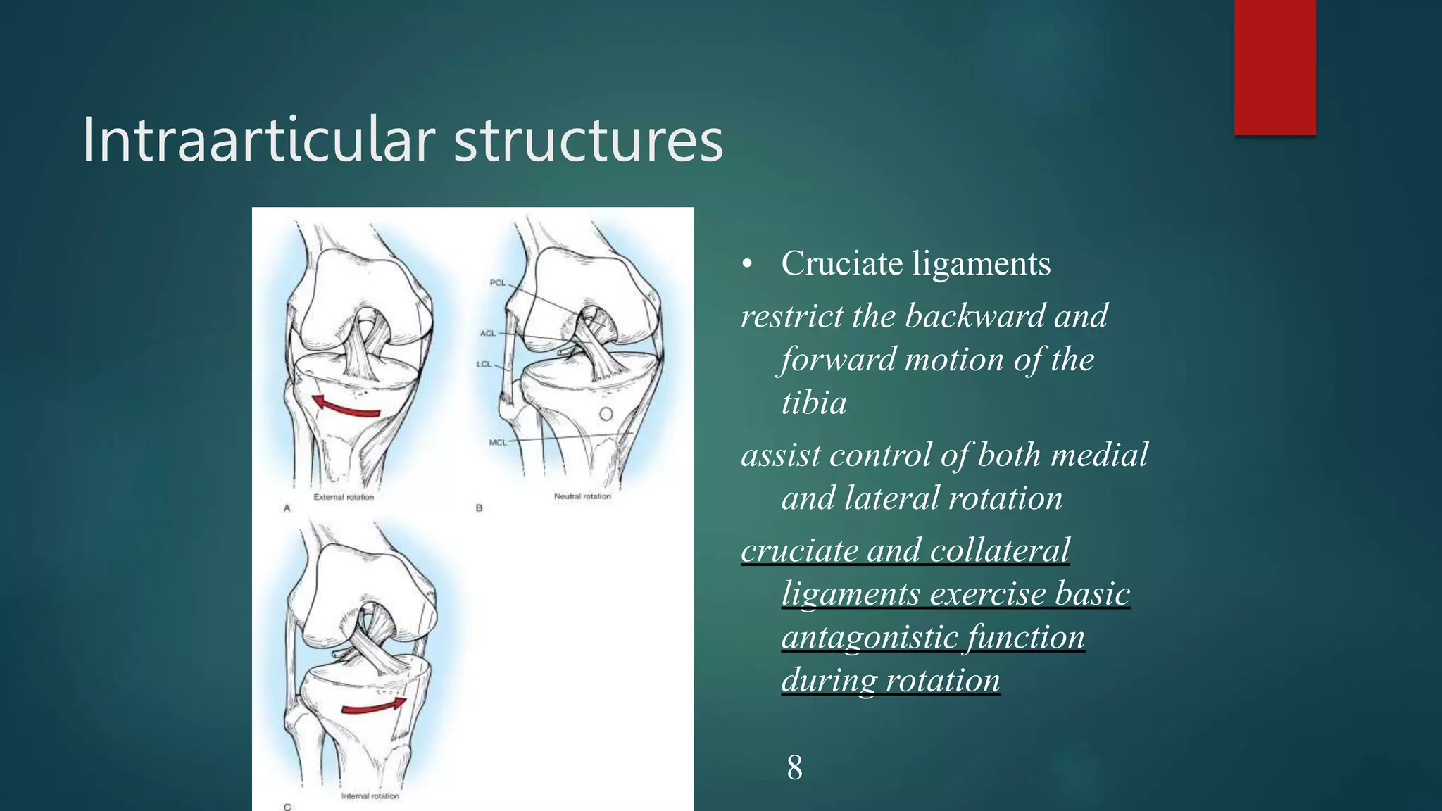Knee dislocation.pptx